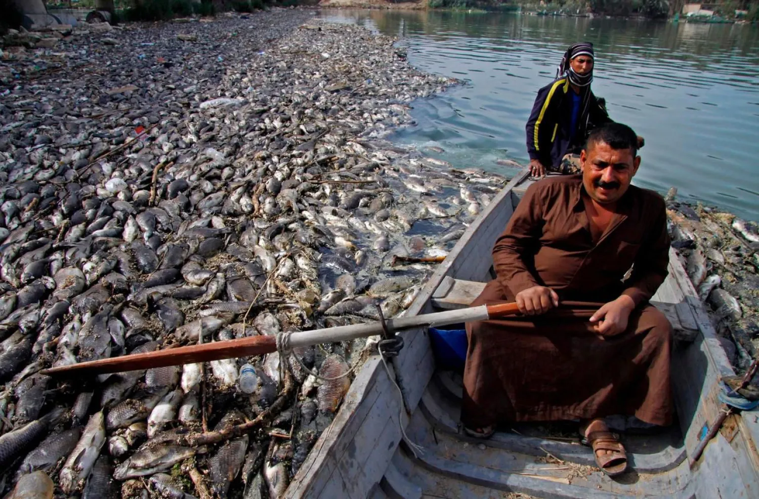 Millions of Iraqi Carp Killed by Herpes- UN