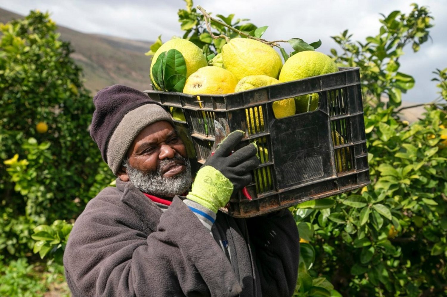 Israel Blocks Palestinian Export in Escalating Trade Crisis