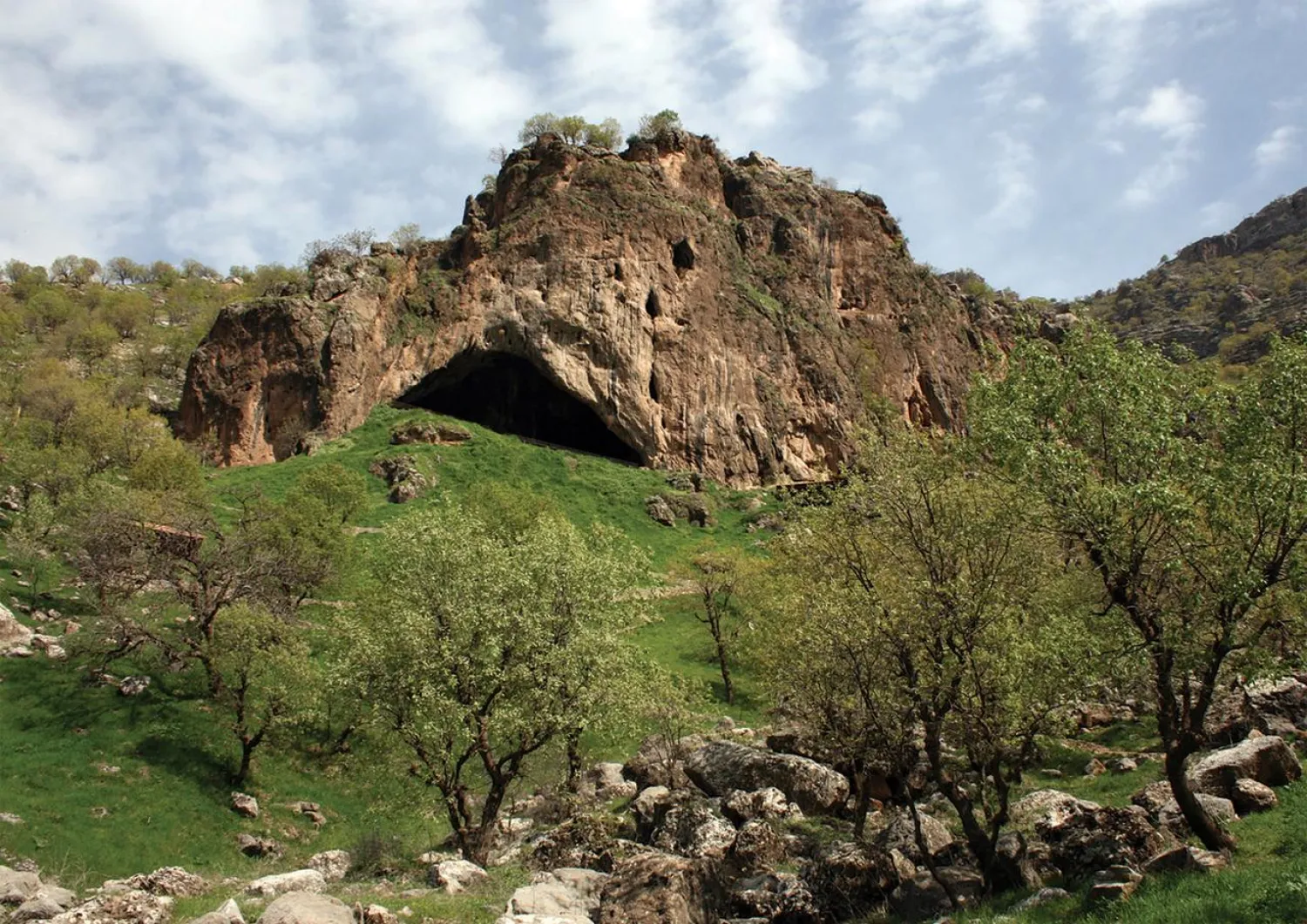 Did Neanderthals Bury their Dead with Flowers? Iraq Cave Yields New Clues