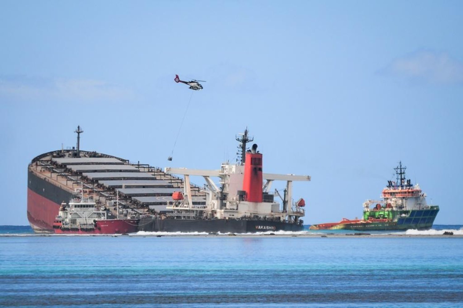 The Japan Firms Behind Mauritius Oil-Leak Ship