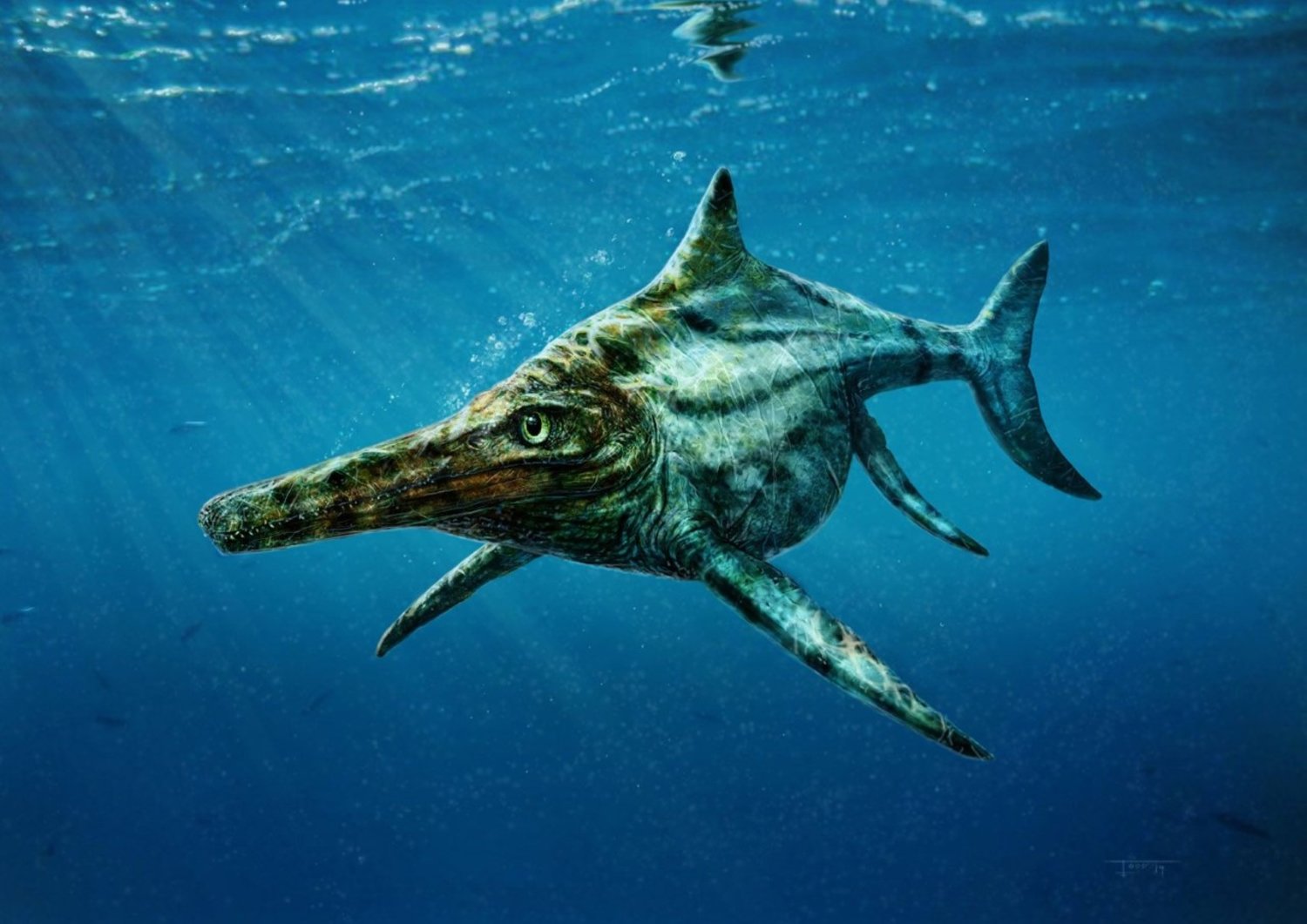 Marine Reptile Eats Creature of its Same Size
