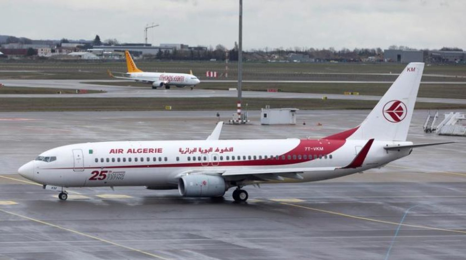 Algerian Airline Resumes Domestic Flights