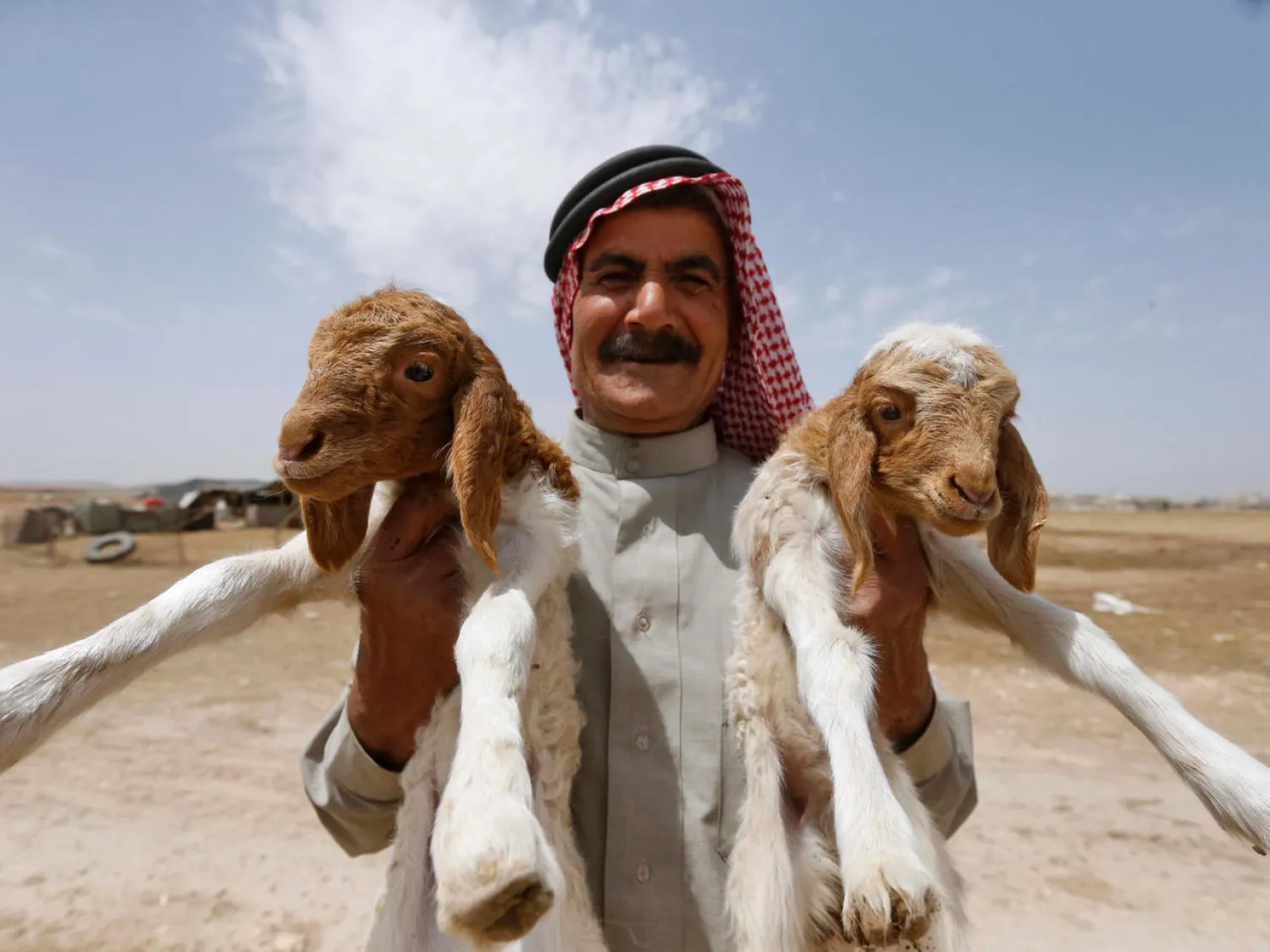 Syrian Shepherds Suffer with Grazing Lands a No-Go Zone