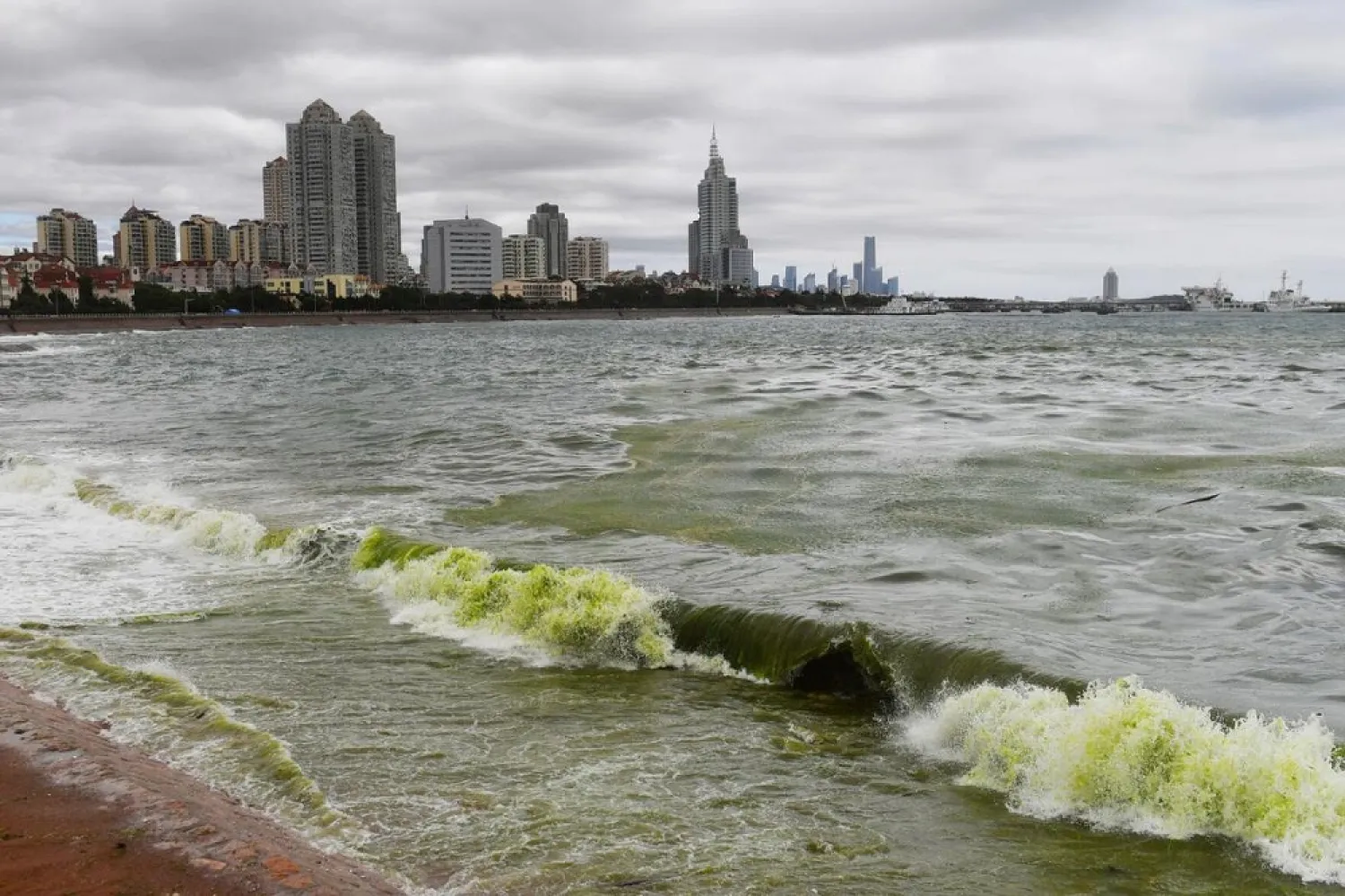 Chinese Port City Uses Boats, Scoops to Fight Algae Bloom