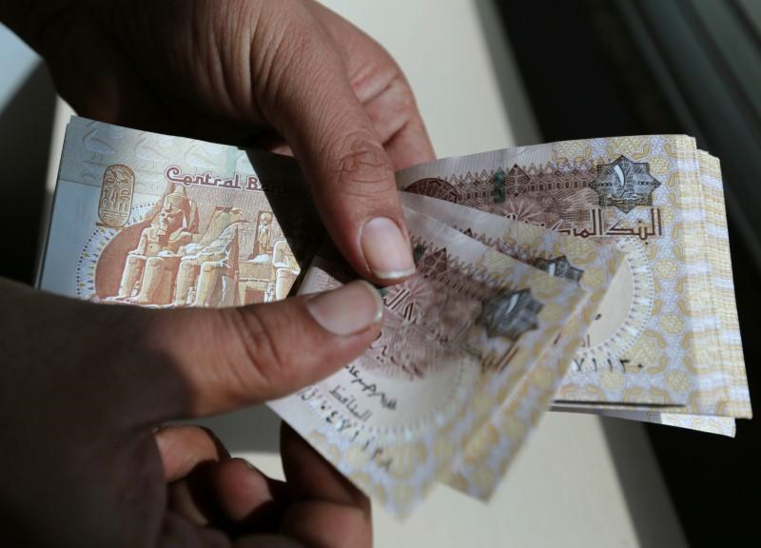 Fitch Expects Stability of Egyptian Pound