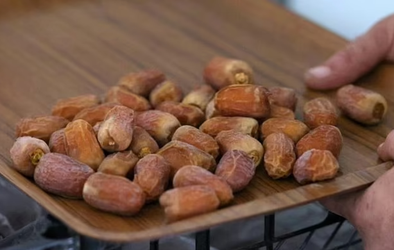 ‘Mad’ Israeli Quest to Revive Ancient Dates Bears Fruit