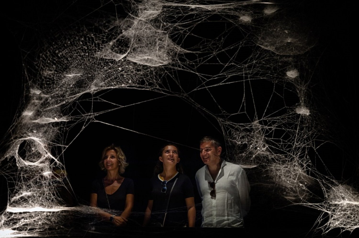 New York Exhibition Displays Spiderwebs