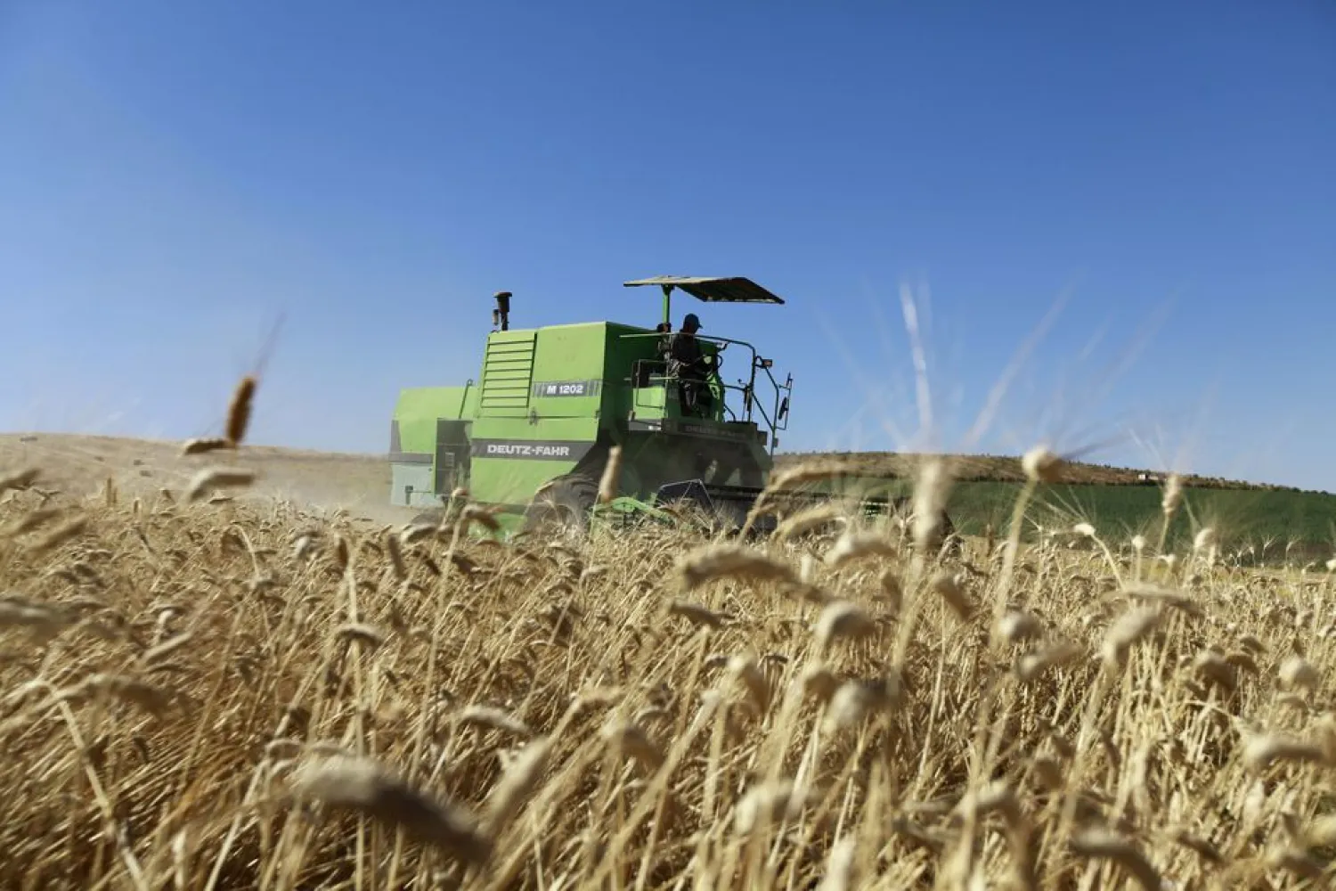 Russia Gradually Resuming Black Sea Wheat Exports