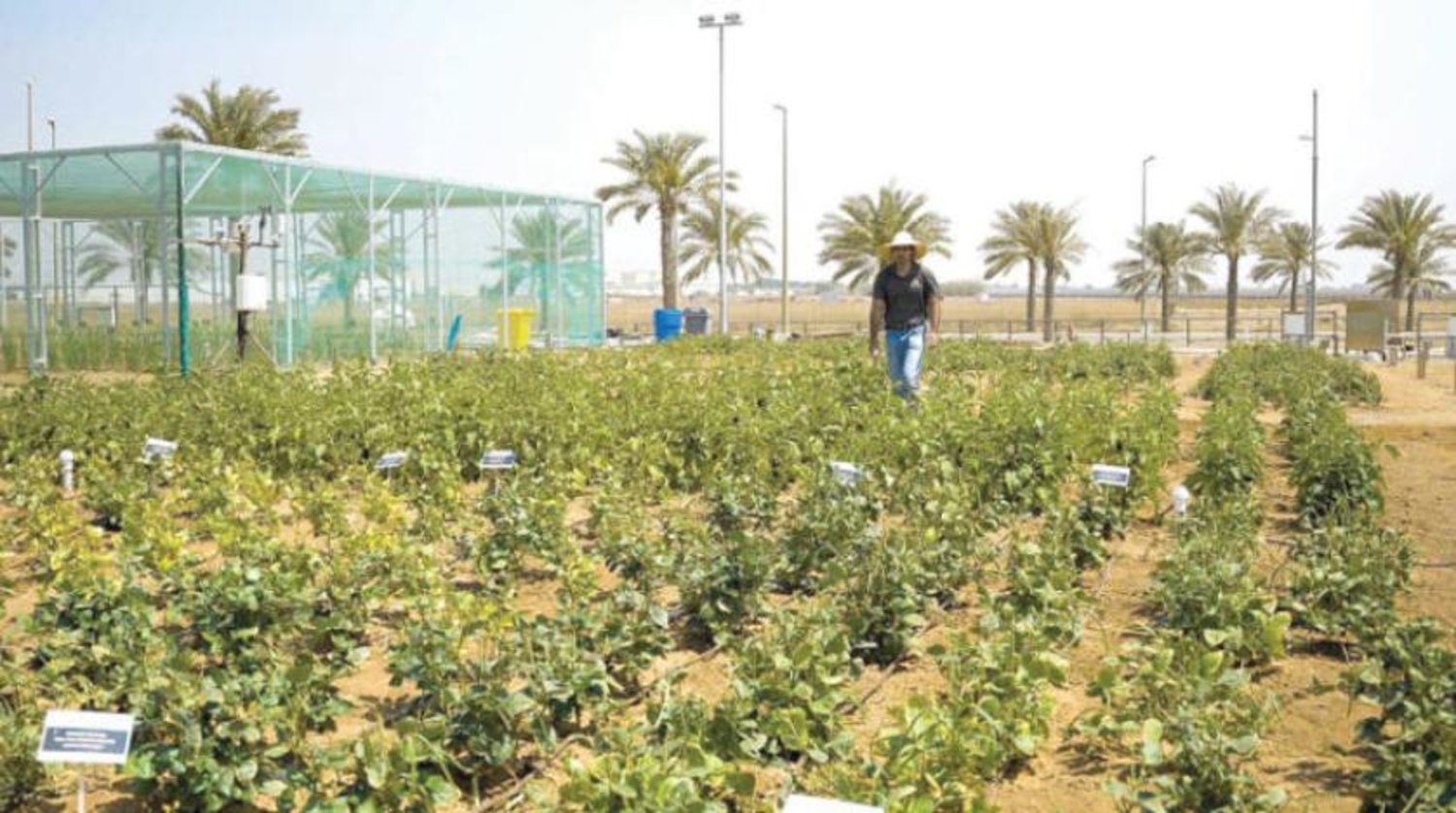 KAUST Startup Edama Opens 1st-of-its-Kind Waste Recycling Facility in ...