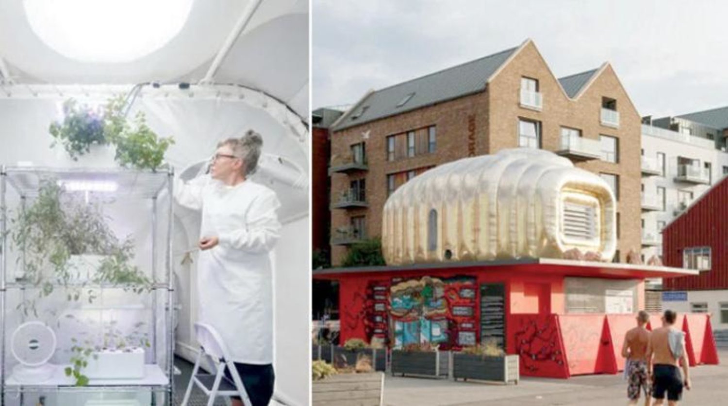 İngiltere, Mars Evi ile ‘Kızıl Gezegen’deki yaşamı deneyimliyor