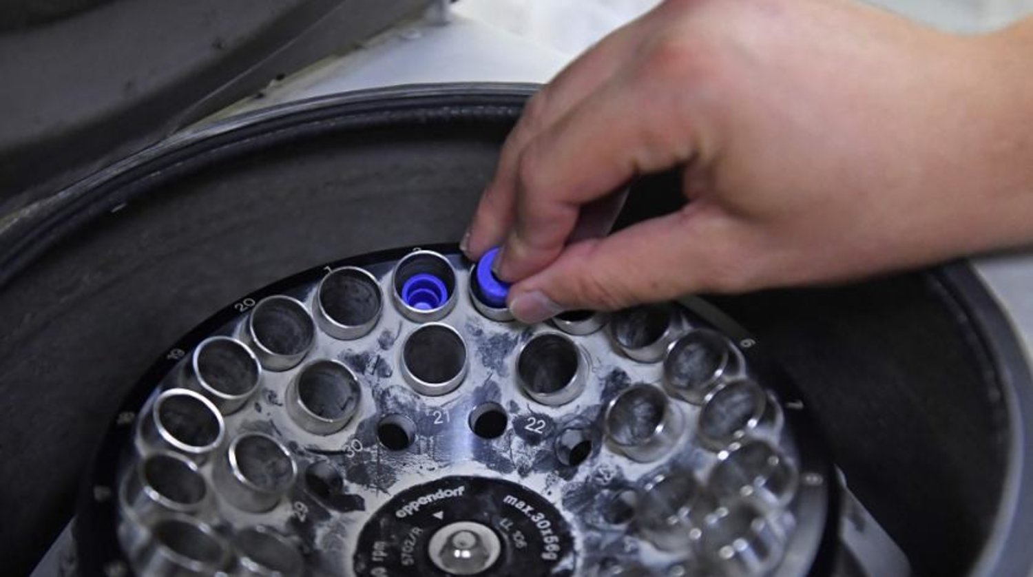 Syria Cholera Outbreak Is a Threat to the Region, UN Warns