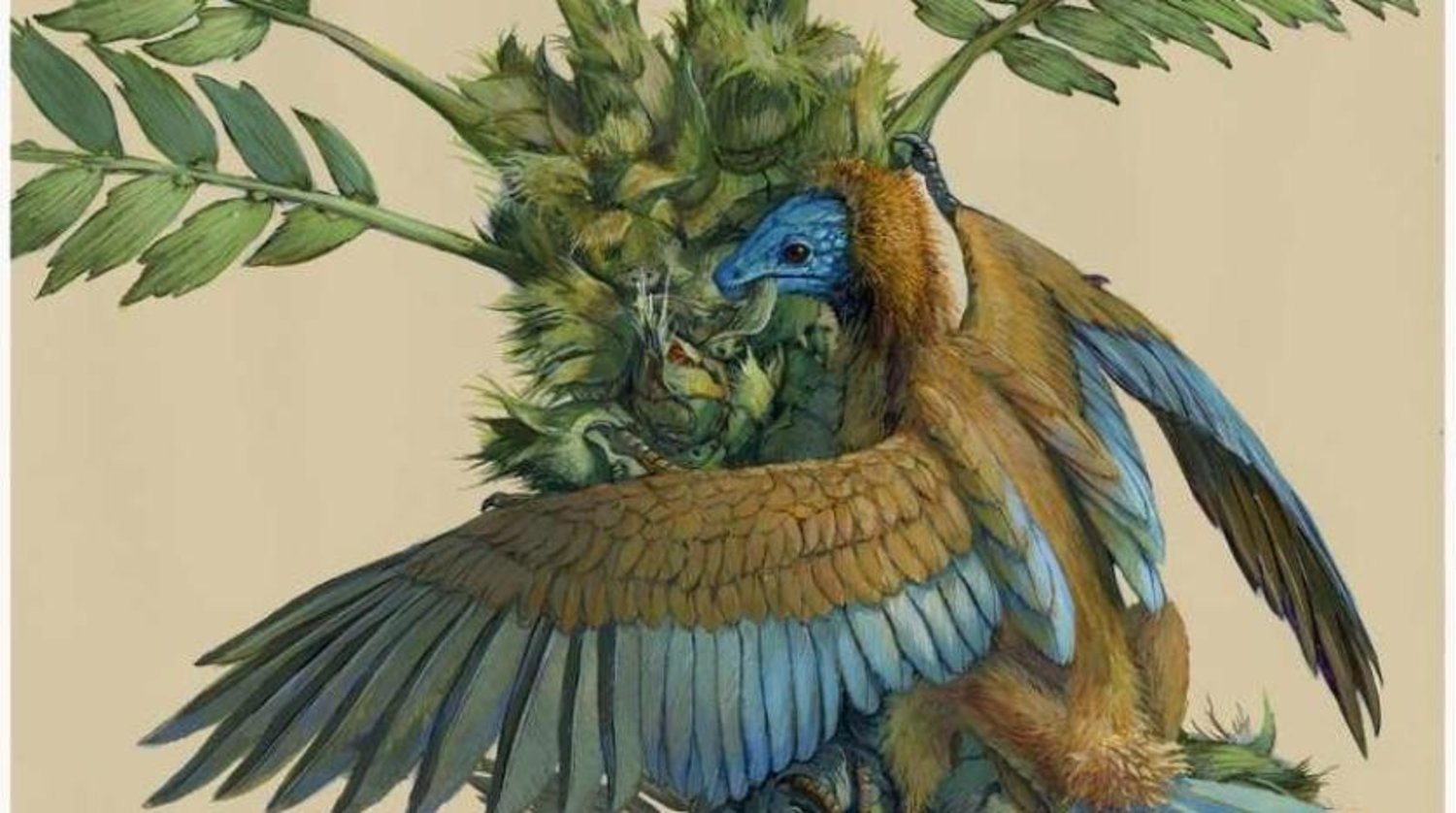 Bir kuşun yaşamı, fosilinin yeniden yapılandırılmasıyla ortaya çıkarıldı