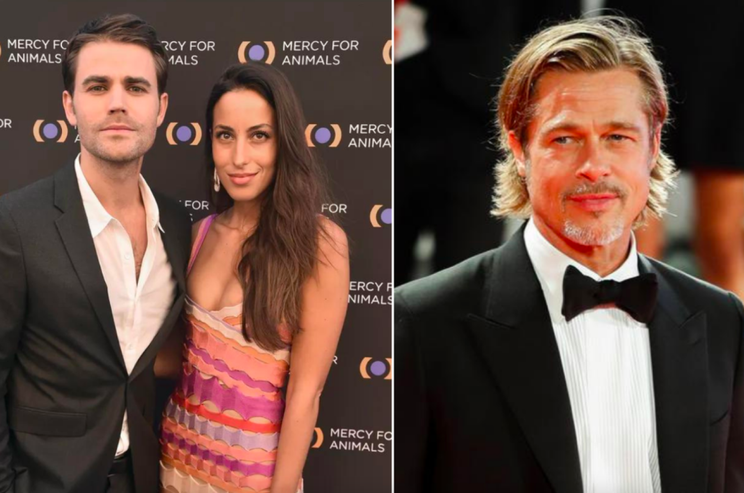 Brad Pitt şaşırtıcı ilişki iddiasıyla gündemde: Ines de Ramon kim?