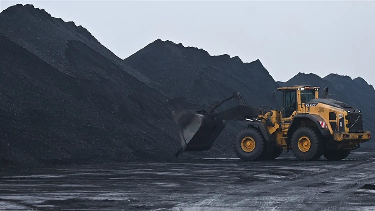 Polonya, enerji güvenliği için kömür kullanımını savunuyor