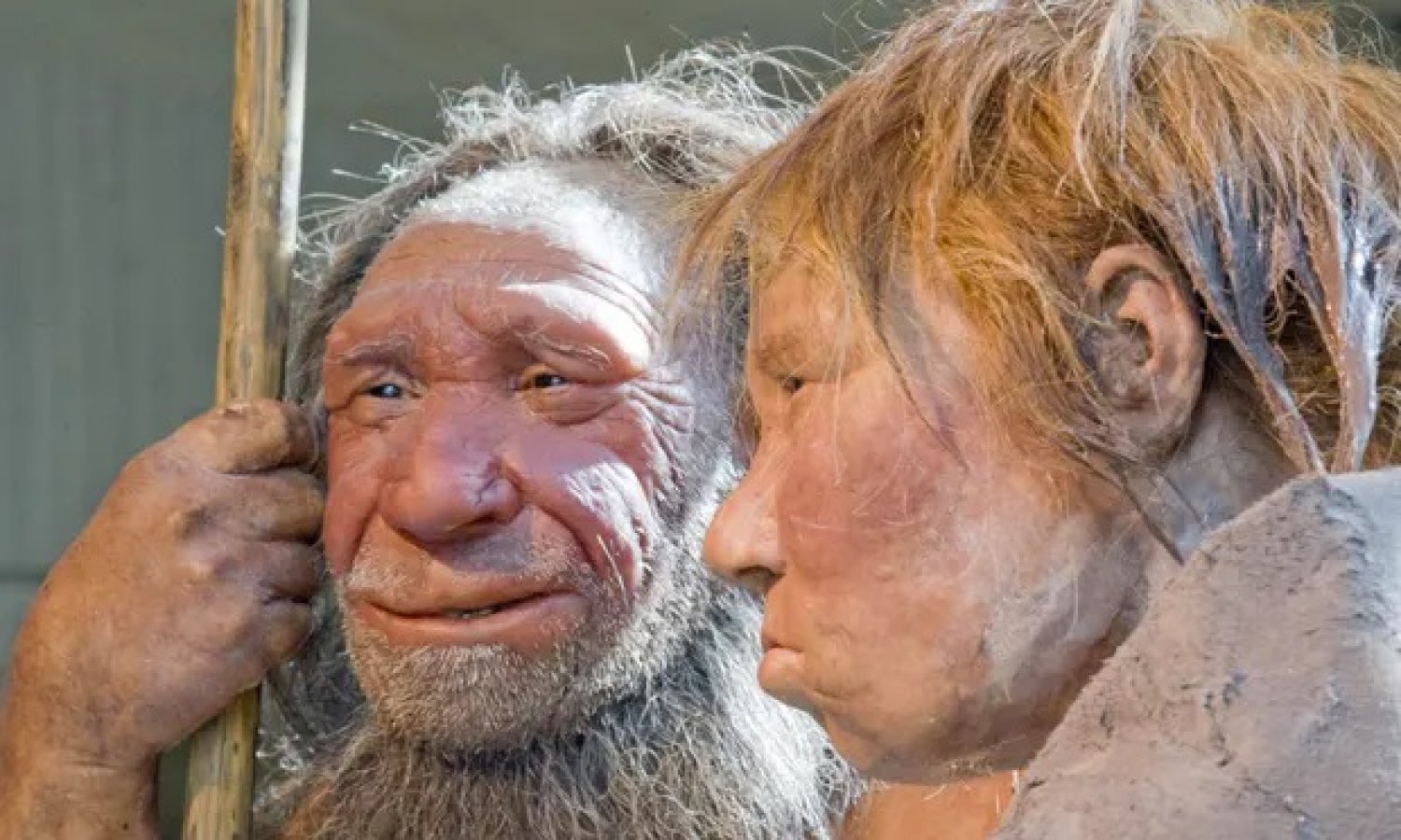 Iraq Cave Complex Evidence Neanderthals Were Foodies