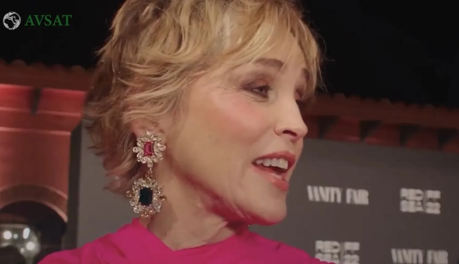 Sharon Stone: Netflix'in Suudi Arabistan'da bir anlaşma yapması akıllıca