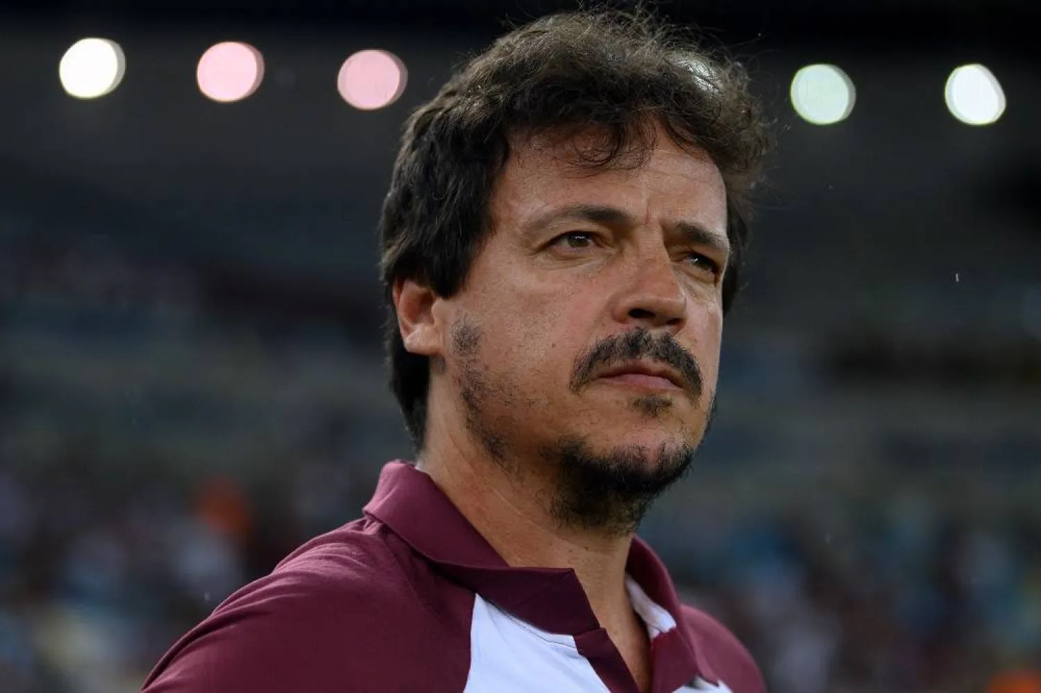 Brazil Hires Diniz as National Team Coach for 1 Year, Waits for Ancelotti