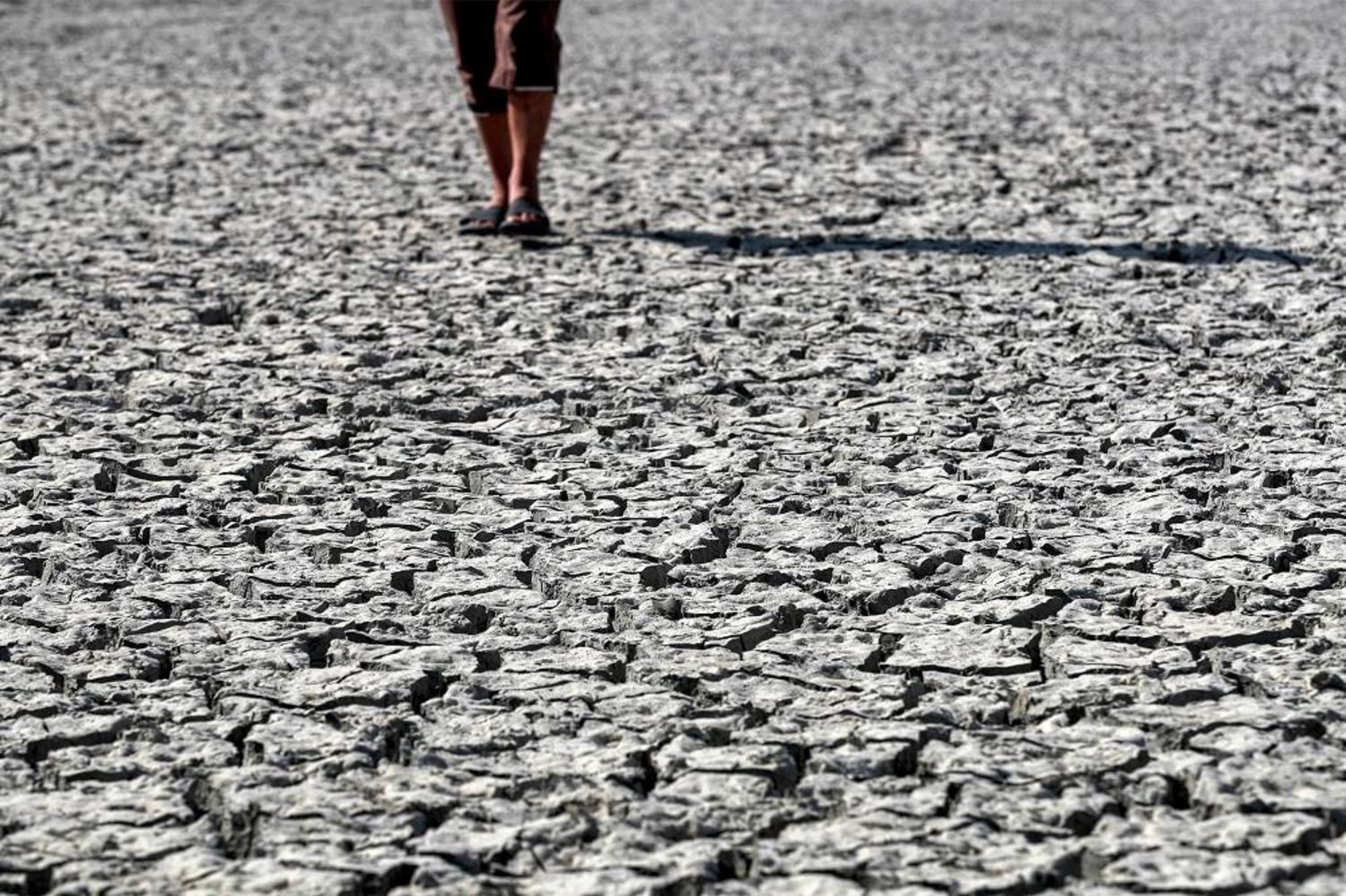Water-Stressed Iraq Dries up Fish Farms