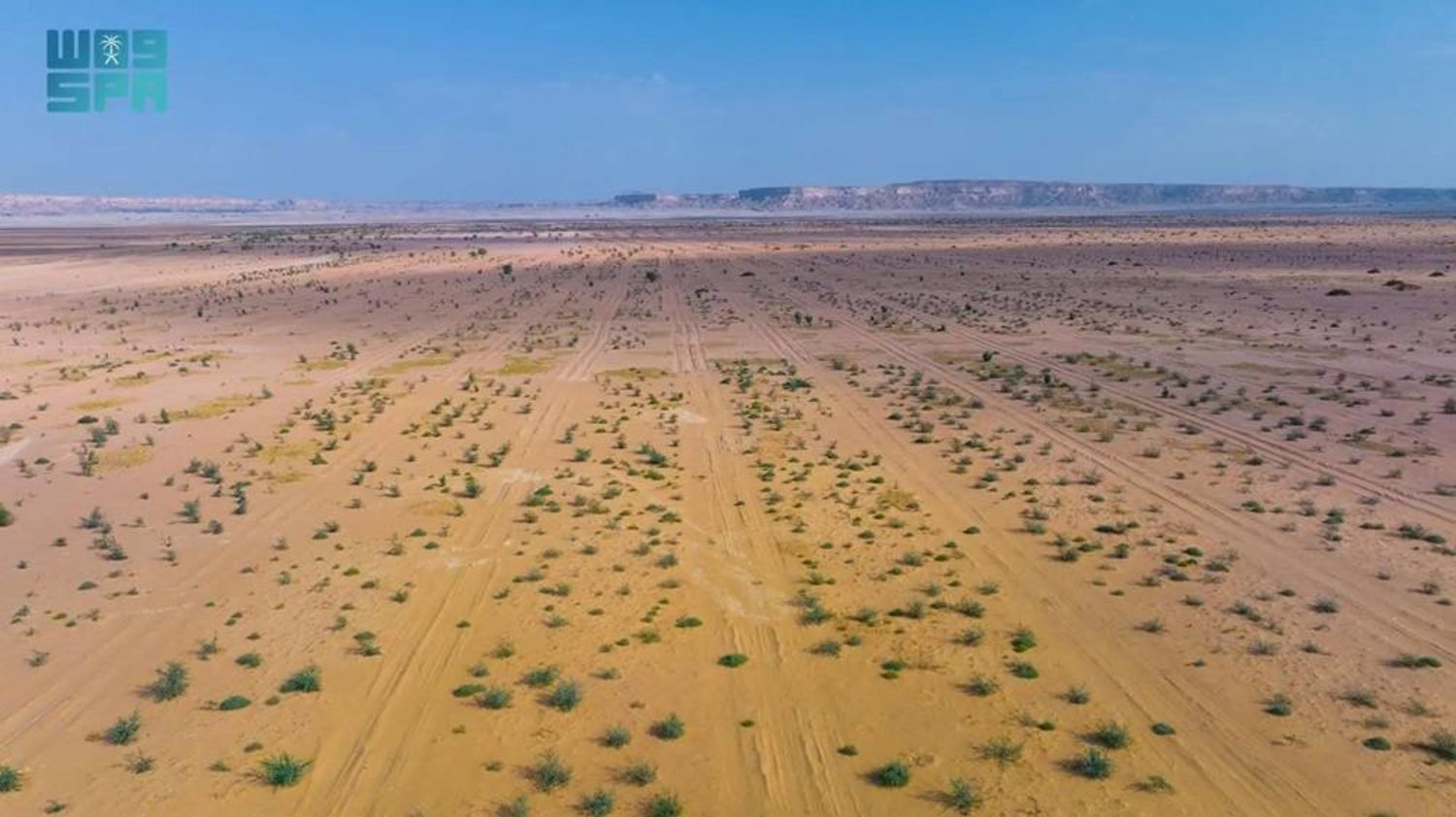 One Million Trees Planted at Saudi Arabia's Rawdat Al-Khafs