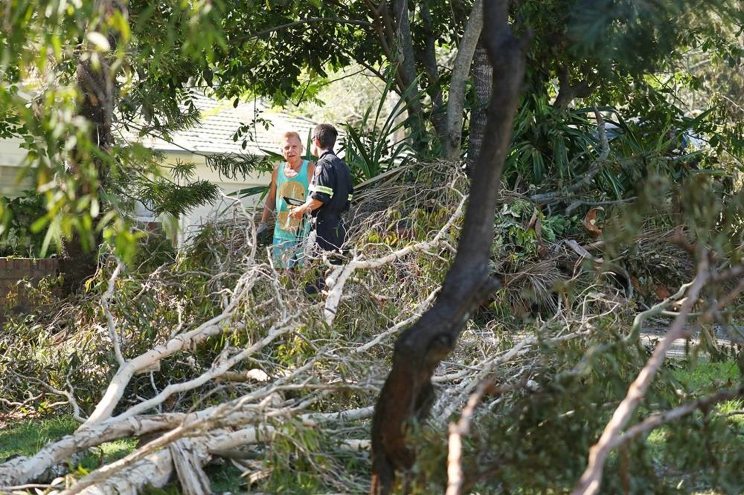 Thunderstorms Batter Australia’s East, Heatwave Grips North