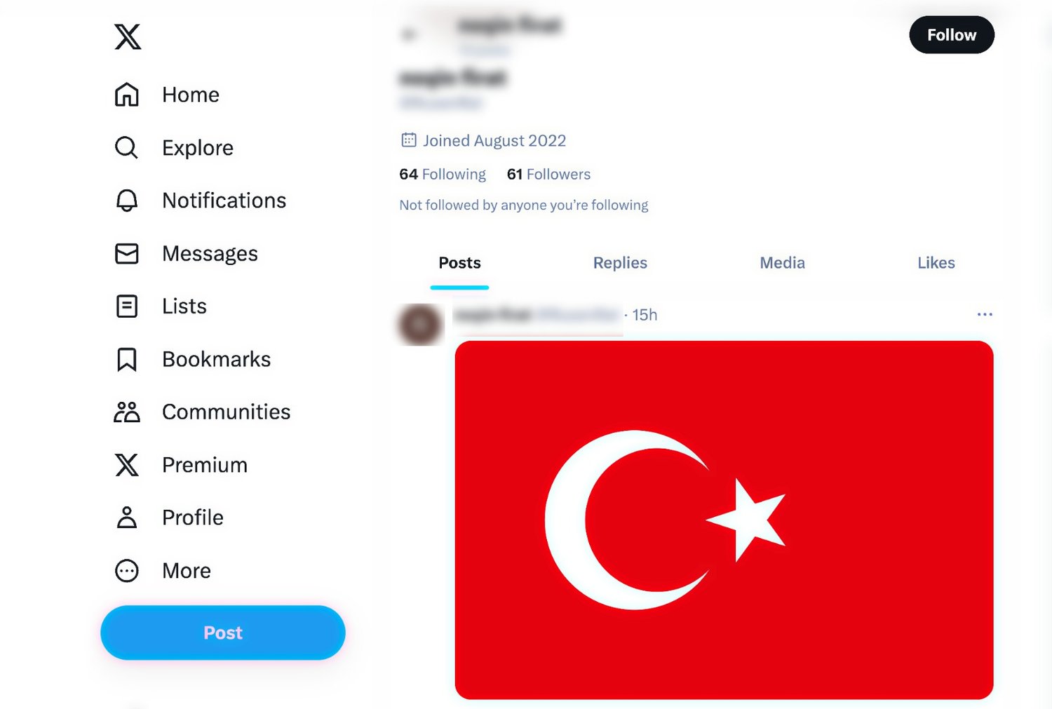 Mahkeme terör propagandası yapan zanlının "Sosyal medyada Türk bayrağı ...