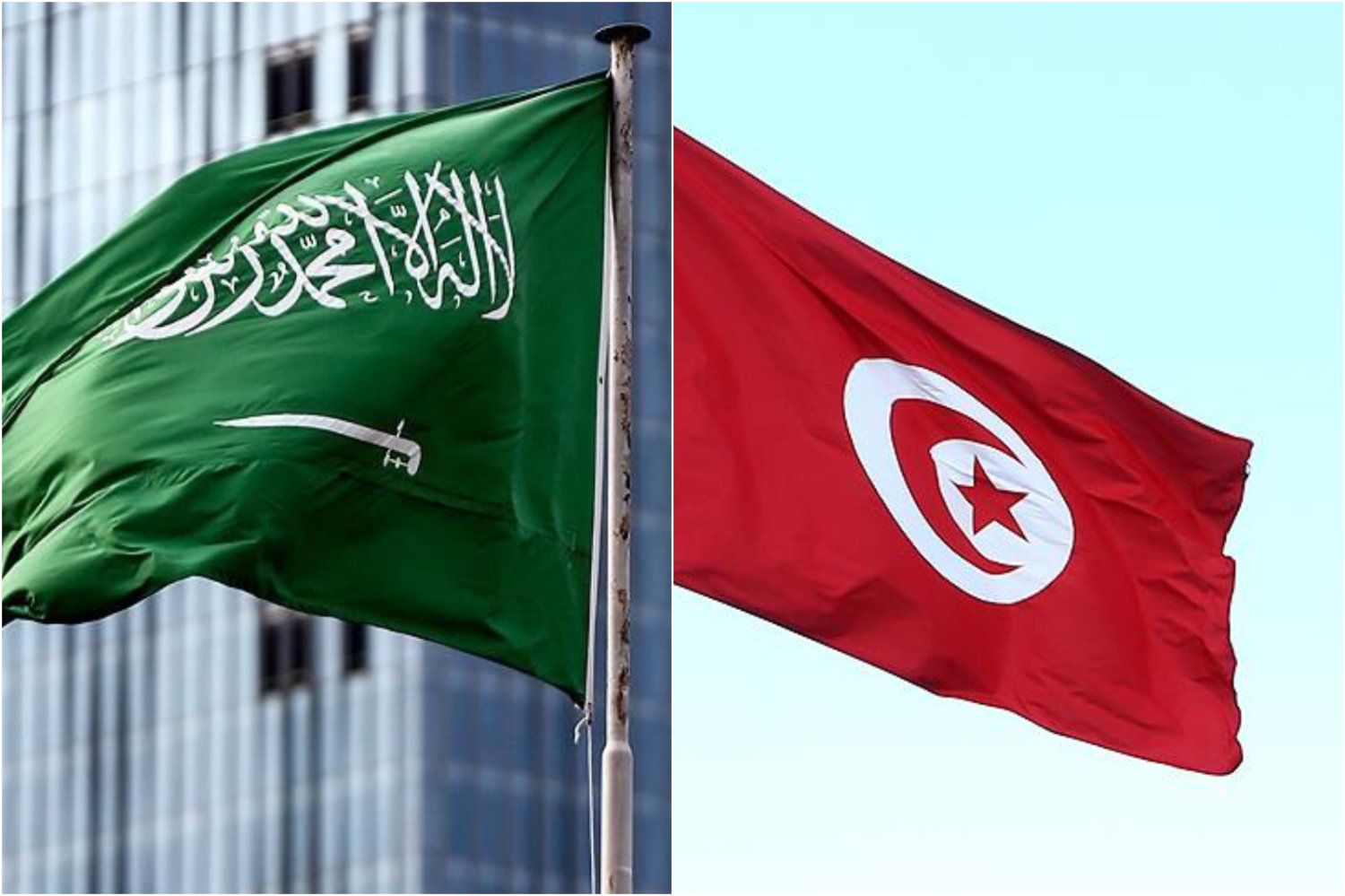 Suudi Arabistan Bitki Örtüsü Merkezi toplumu ağaç dikmeye çağırıyor