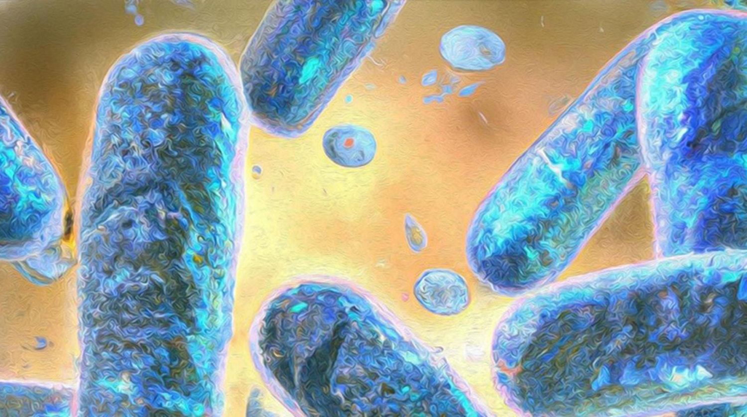 Bilim insanları yarı canlı siborg hücreleri geliştirdi