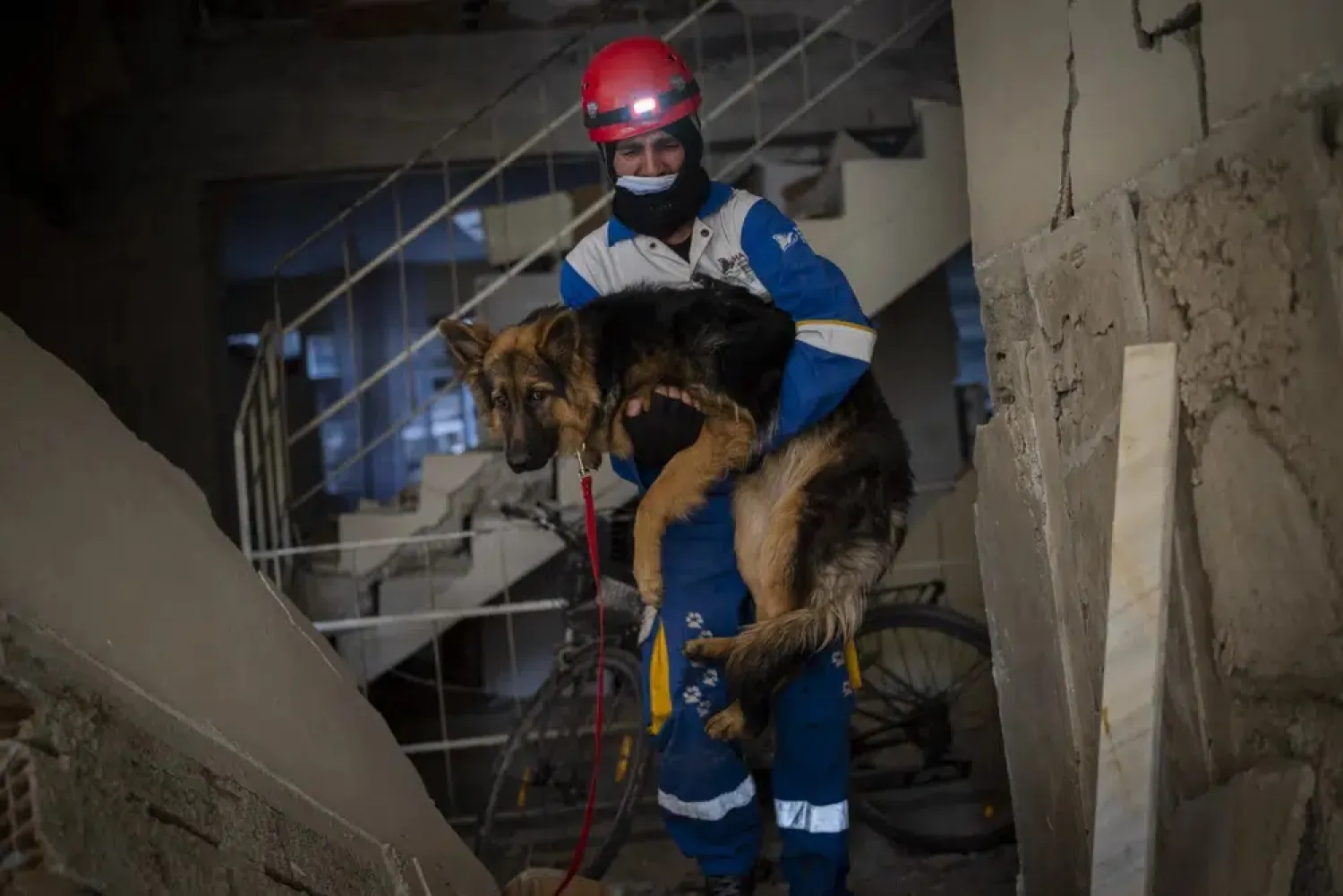 Amid Quake’s Devastation, Parallel Rescue Bid Targets Pets