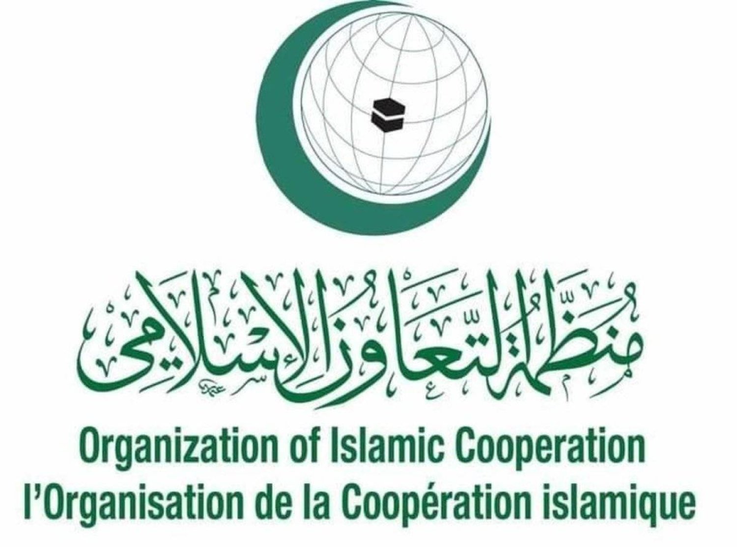Saudi KSrelief Signs Joint Executive Project to Renovate Damaged Houses ...