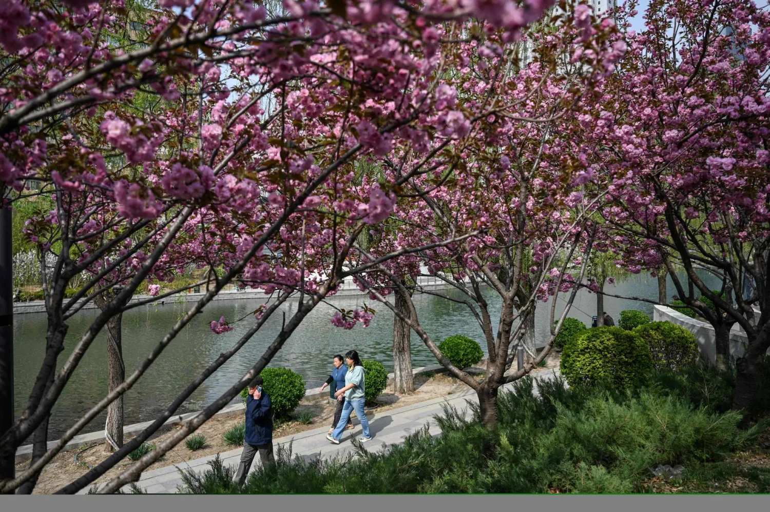 مجموعة عقارية صينية جديدة تواجه التصفية