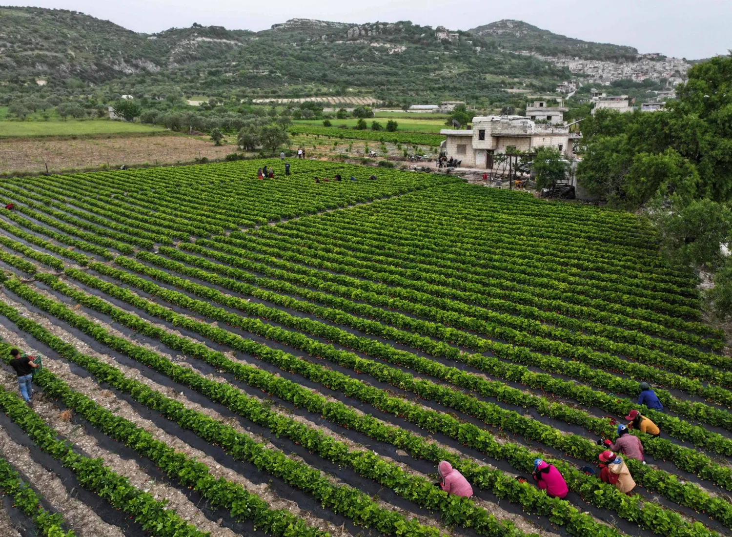 ISIS Carries Out Deadly Attacks on Pro-government Forces in East Syria