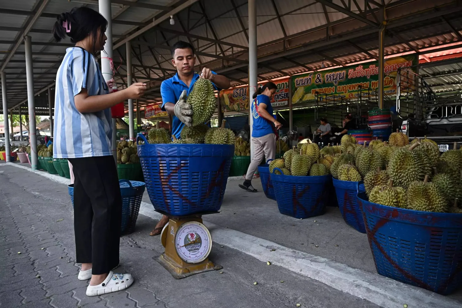 Heatwave Hammers Thailand's Stinky but Lucrative Durian Farms