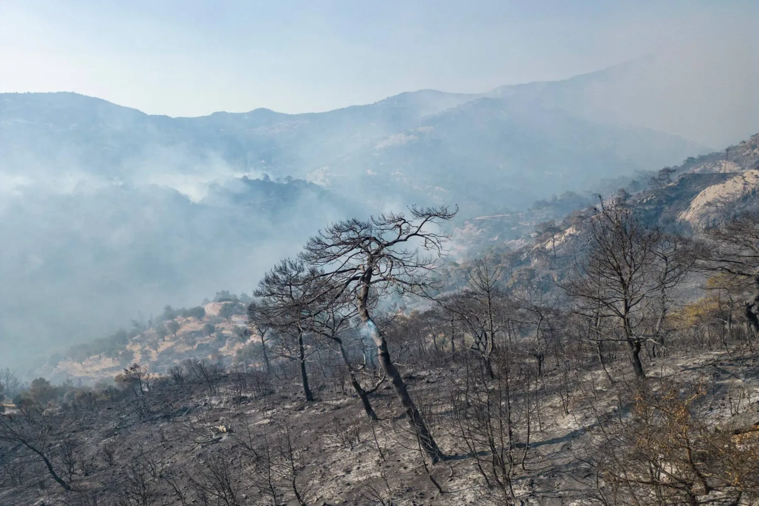 Wildfires Rage in Western Türkiye for 3rd Straight Day