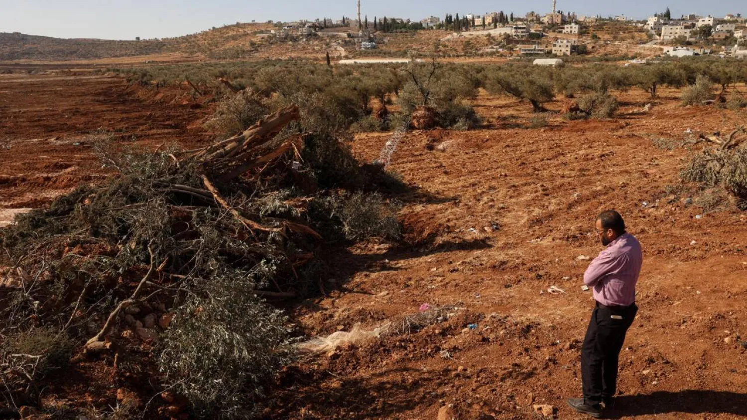 Israeli Bulldozers Uproot Hundreds of Trees in West Bank Village