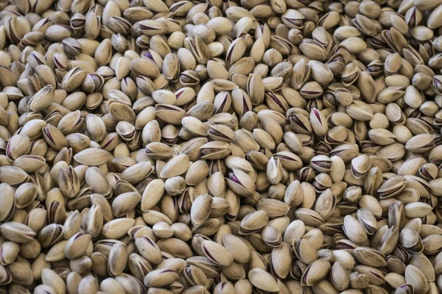 'Last Generation': Greek Island's Fading Pistachio Tradition