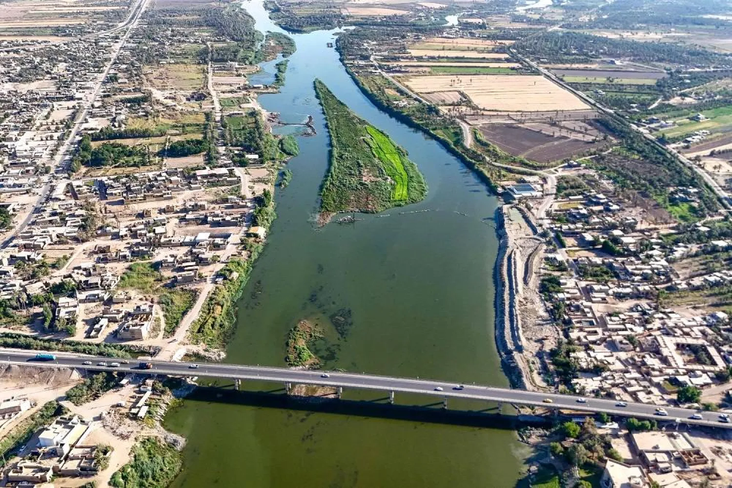 Bees, Once Buzzing in Honey-Producing Basra, Hit by Iraq’s Water Crisis