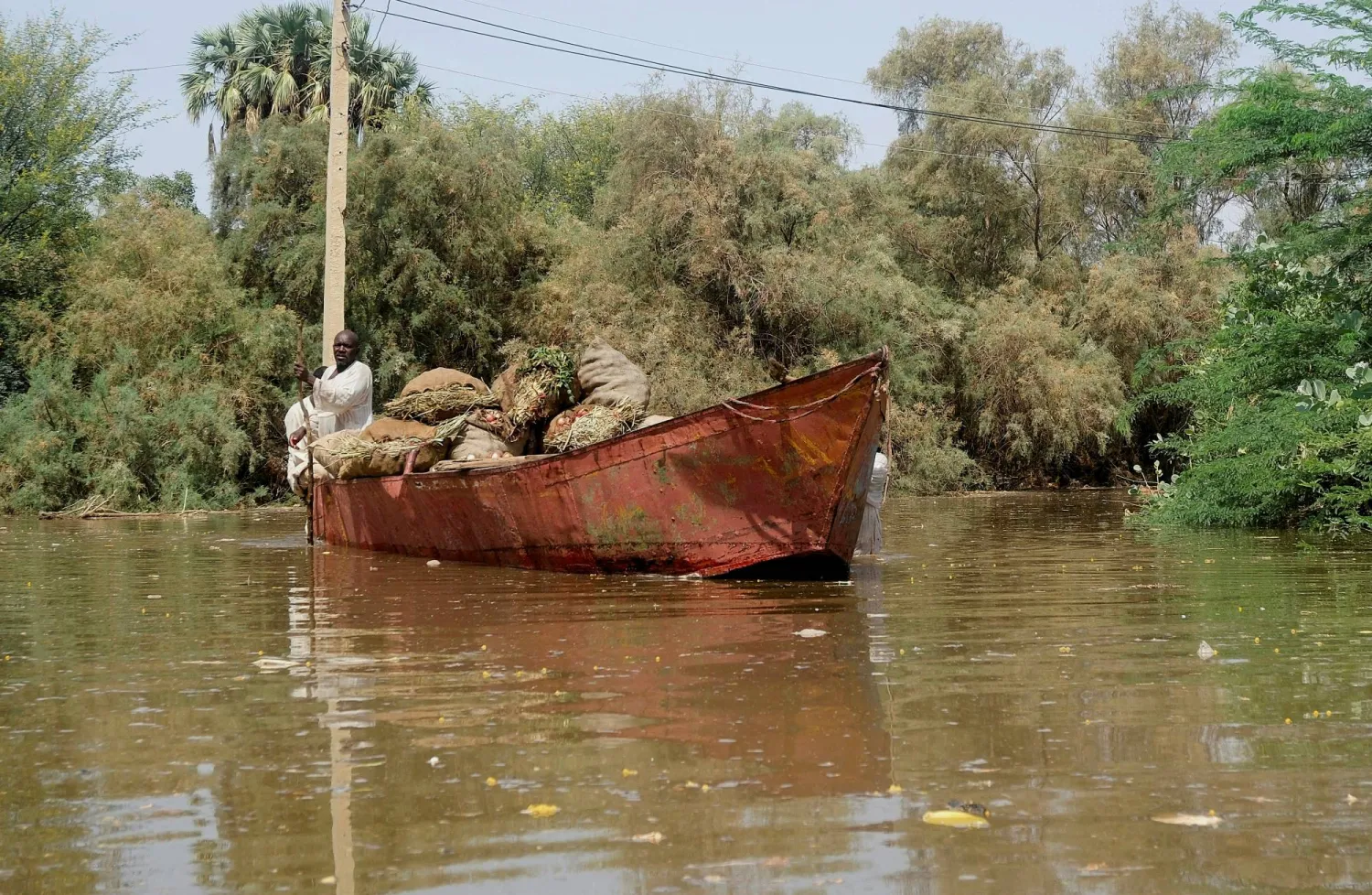 RSF Attack on Maternity Ward Kills 8 in Sudan's El-Fasher