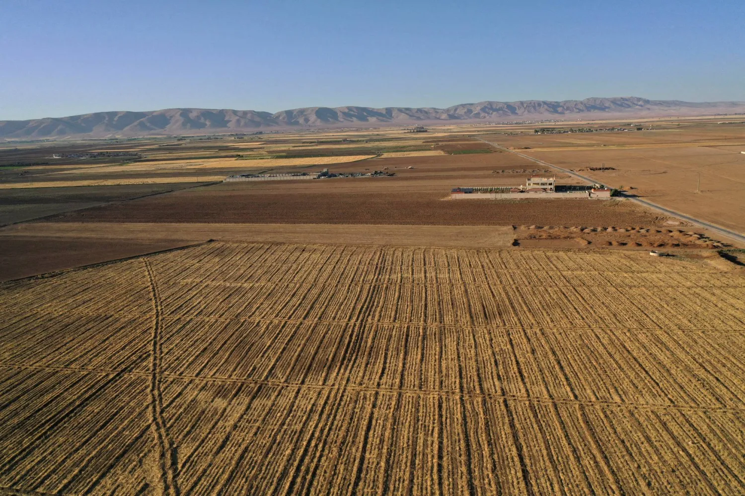 Syria's Wheat Harvest Expected to More Than Double this Year