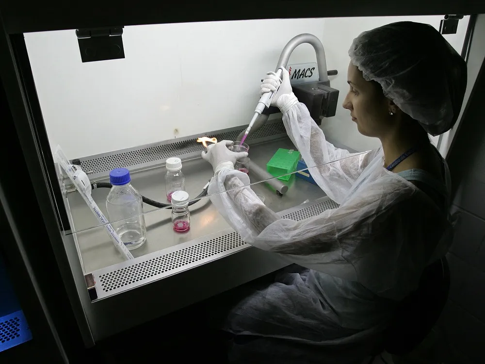 In Breakthrough, Scientists Grow Human Eggs to Maturity