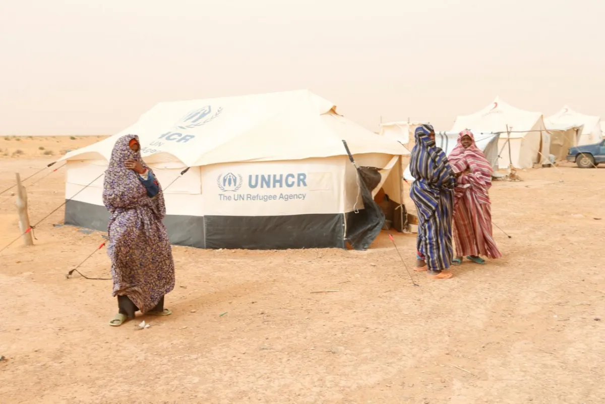 Libya: Tawergha Return Journey Saddled with Mines, Tribal Strife