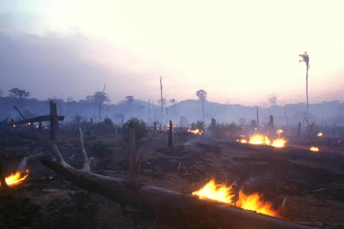 Bitkilerin nesli bilinenden 500 kat hızlı tükeniyor
