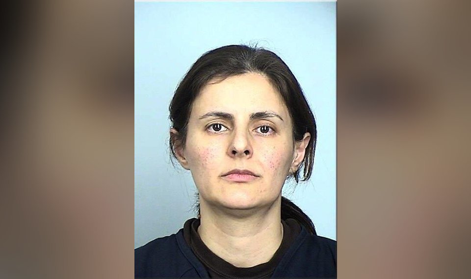 Iranian Woman in US Pleads Guilty in Tech Smuggling Case