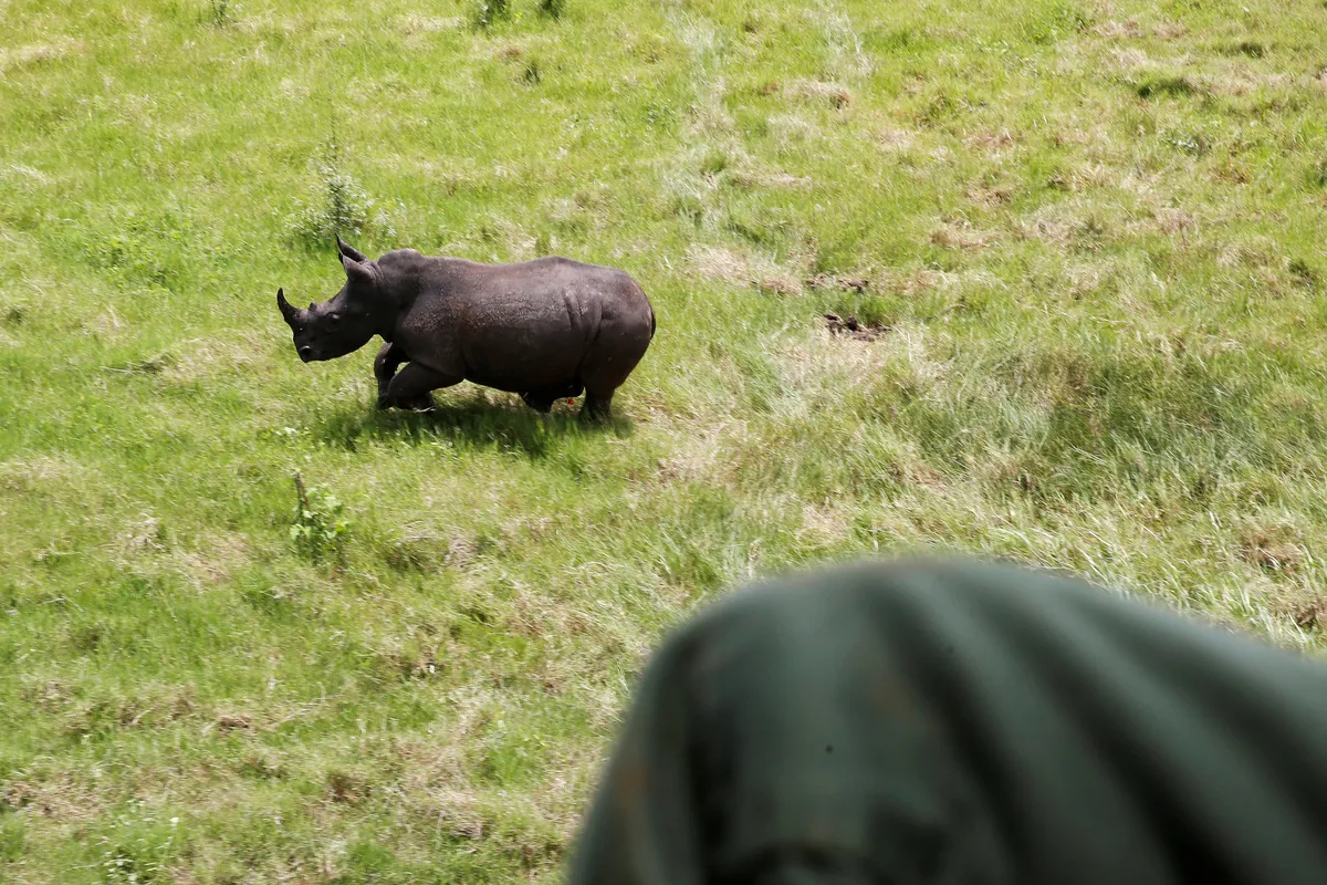Kenyan All-Female Conservation Ranger Unit Patrols Amid COVID-19