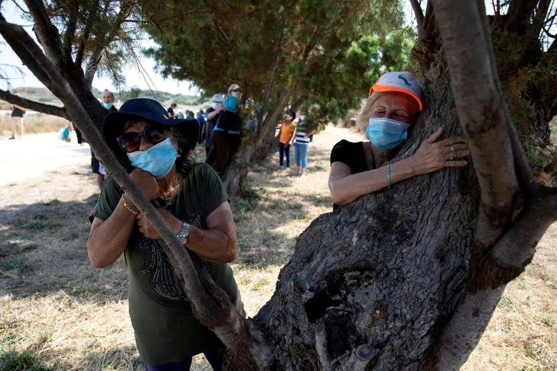 Israelis Stage Protests over Tree-planting Crisis