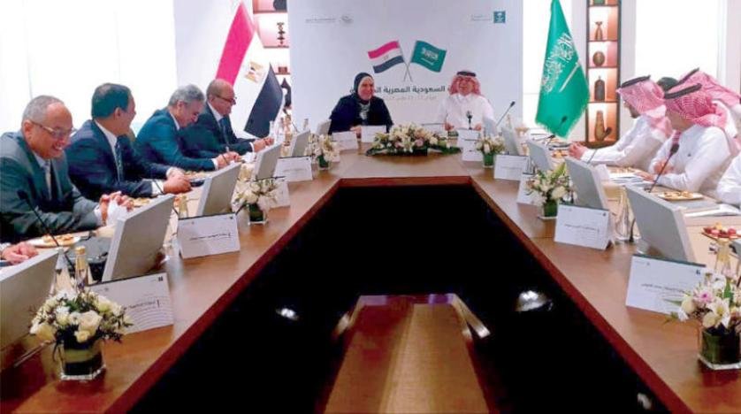 Egypt, Saudi Arabia Agree to Boost Cooperation, Relations