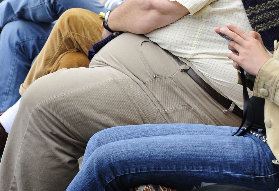 High-Fat Diets Could Deteriorate the Brain, New Study Finds