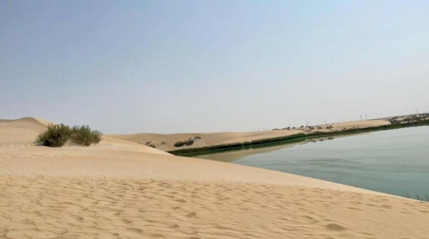 Al-Ahsa’s Yellow Lake... Life in the Saudi Desert
