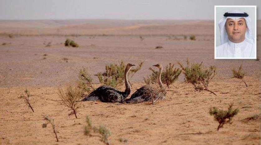 İmam Türki Bin Abdullah Doğa Koruma Alanı Geliştirme Kurumu CEO’su ...