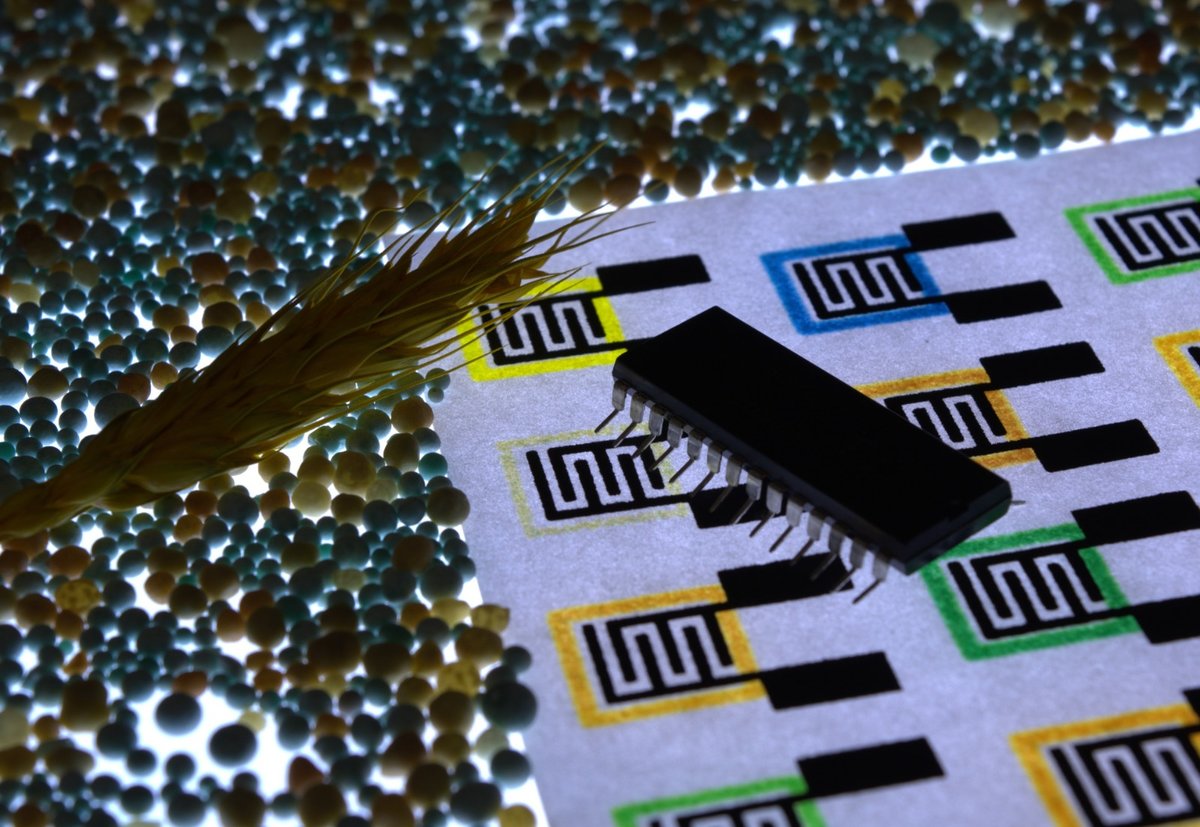 Akıllı toprak sensörleri gıdalarımızın tazeliğini gösterecek, toprağın ...