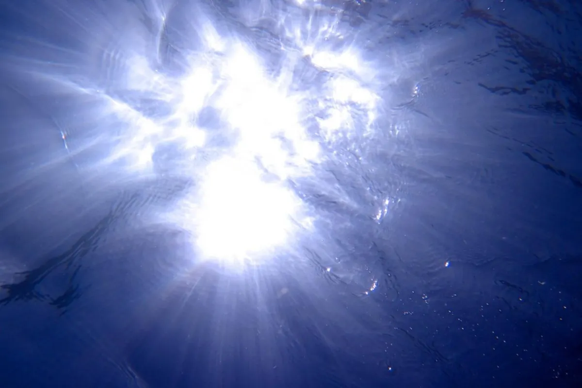 صحيفة الشرق الأوسط - Gizemi yıllarca çözülemeyen okyanus sesi sosyal ...